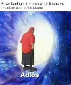 30 Chess Memes Even A Lowly Pawn Can Appreciate