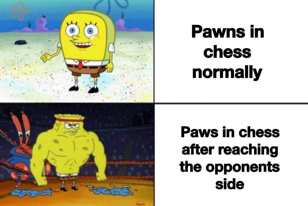 30 Chess Memes Even A Lowly Pawn Can Appreciate