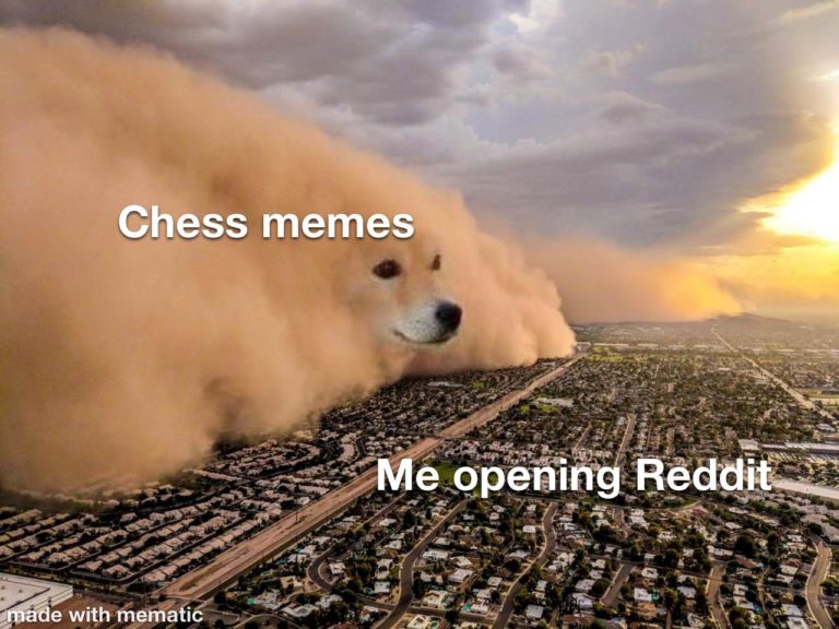 30 Chess Memes Even A Lowly Pawn Can Appreciate