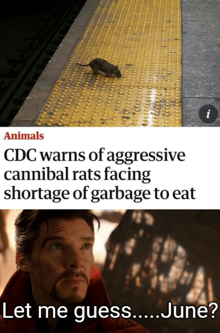 June 2020 Memes Mean We’re Almost Halfway Through 2020 (30 Memes)