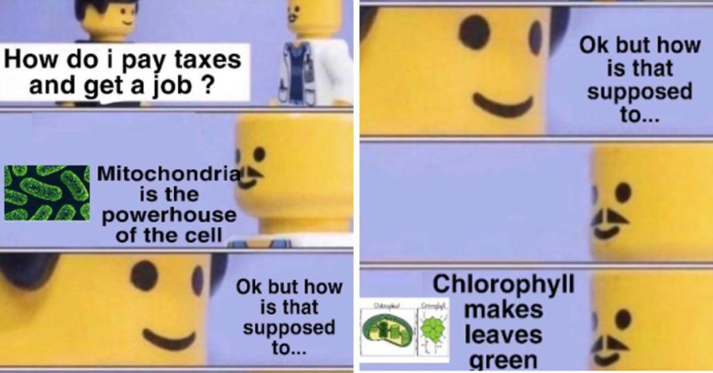 We're Only Listening To Lego Doctor Memes Now (22 Memes)