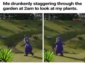 59 Plant Memes You Can’t Accidentally Kill By Casually Neglecting Them