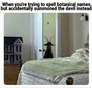 59 Plant Memes You Can’t Accidentally Kill By Casually Neglecting Them