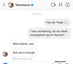 59 Plant Memes You Can’t Accidentally Kill By Casually Neglecting Them