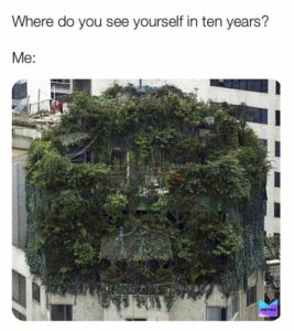 59 Plant Memes You Can’t Accidentally Kill By Casually Neglecting Them