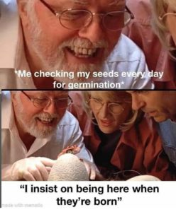 59 Plant Memes You Can’t Accidentally Kill By Casually Neglecting Them