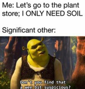 59 Plant Memes You Can’t Accidentally Kill By Casually Neglecting Them