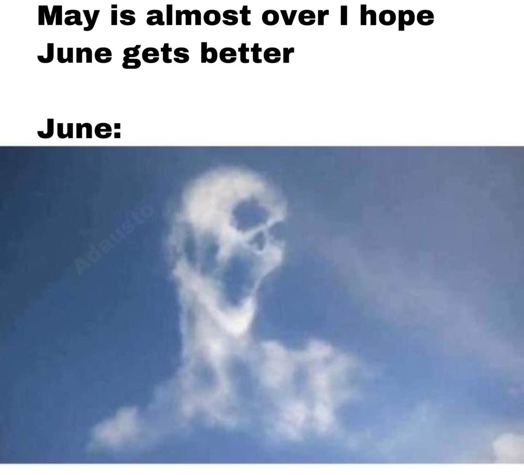 June 2020 Memes Mean We’re Almost Halfway Through 2020 (30 Memes)