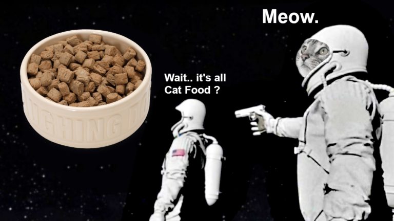 Wait It's 37 Astronaut With A Gun Memes? Always Has Been (37 Memes)