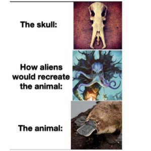 The Alien Skull Meme Is Part Creepy And Part Wholesome (30 Memes)