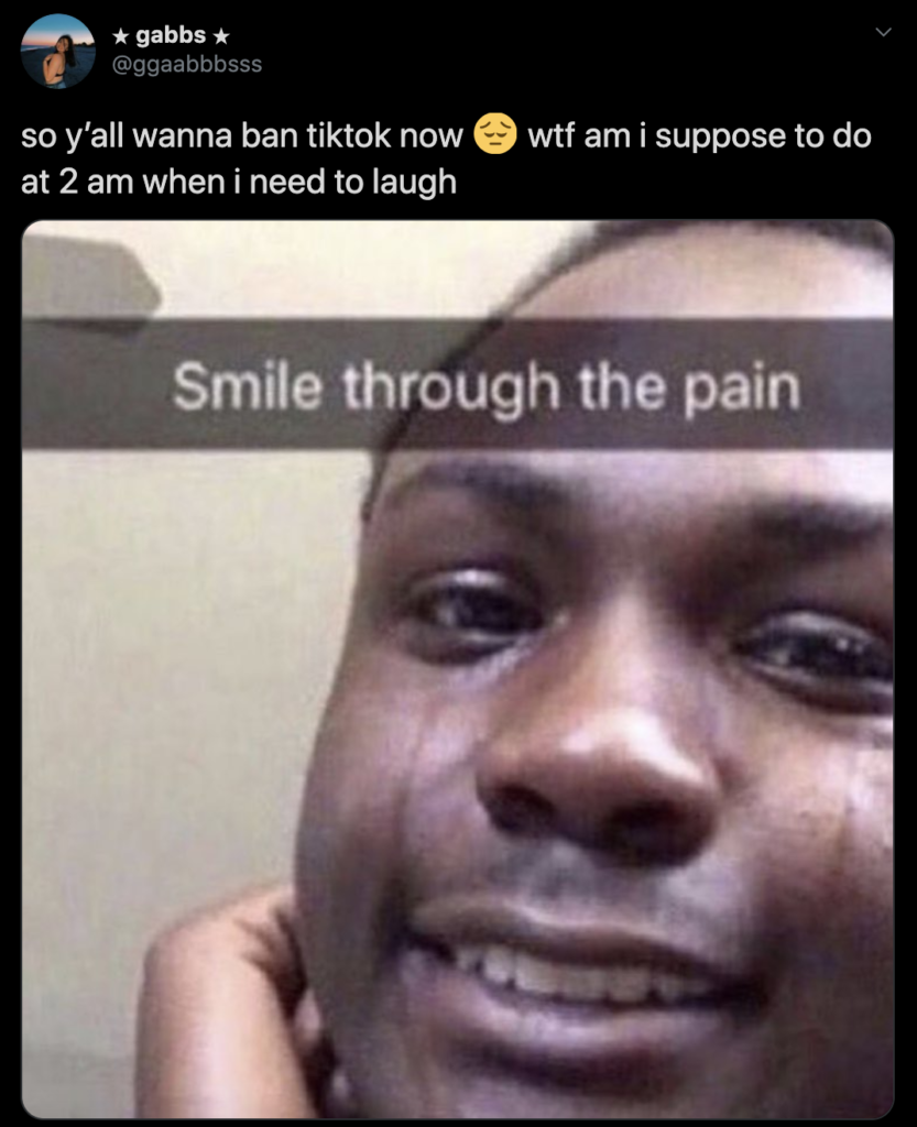 The U.S. Can’t Ban TikTok Without A Meme War (31 Memes)