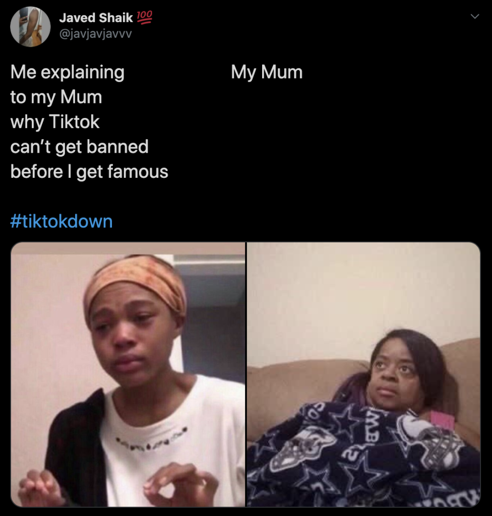 The U.S. Can’t Ban TikTok Without A Meme War (31 Memes)