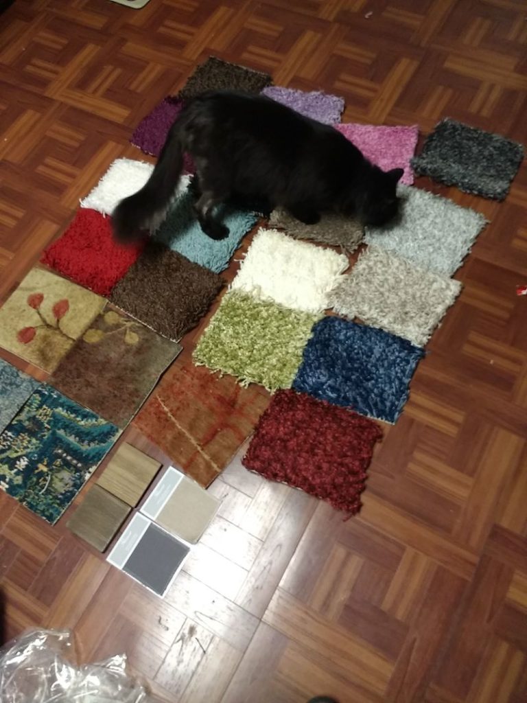 Woman “Hacks” Amazon By Ordering Tons Of Free Carpet Samples