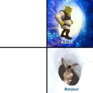 28 Bonjour Bear Memes That Just Want To Say "Bonjour"