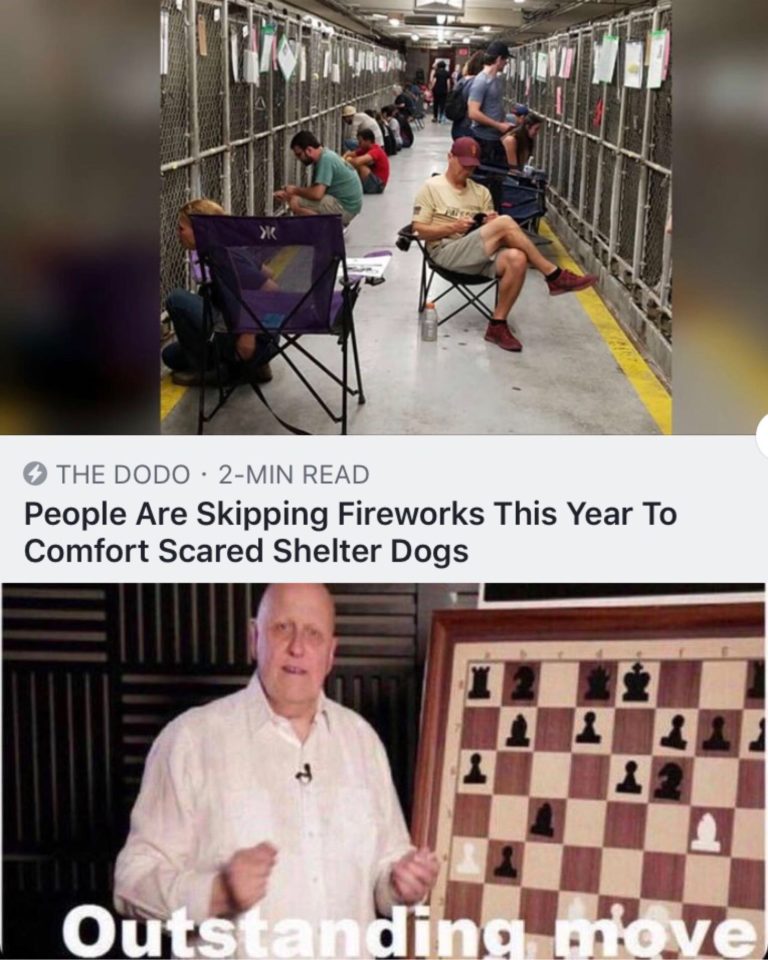 17 Of The Funniest Outstanding Move Memes We Had Time To Find