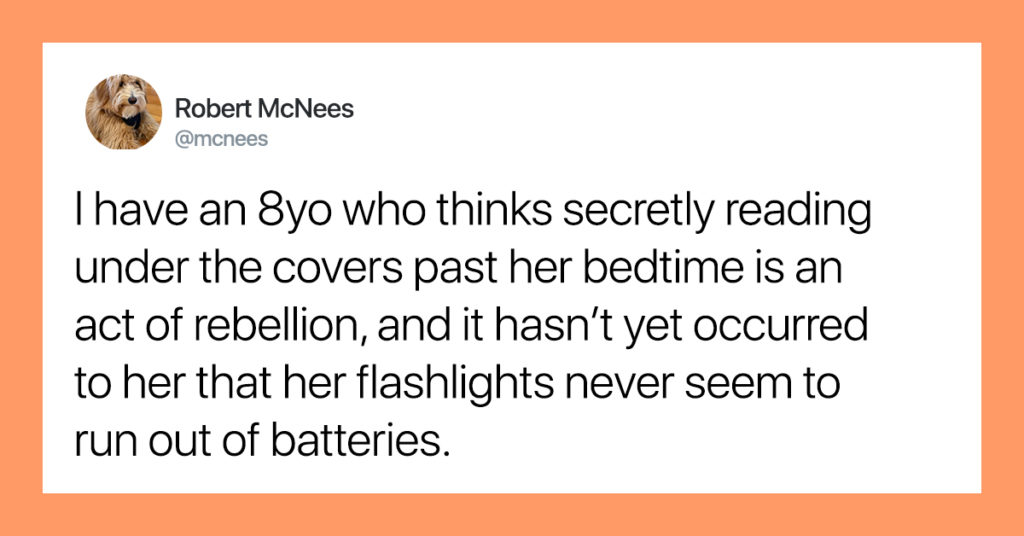 Parents Share Their Secrets For Getting Kids To Read Books (18 Tweets)