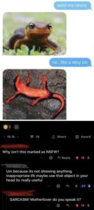 “Whoosh” Is The Sound Of The Joke Going Over Your Head (39 Pics)