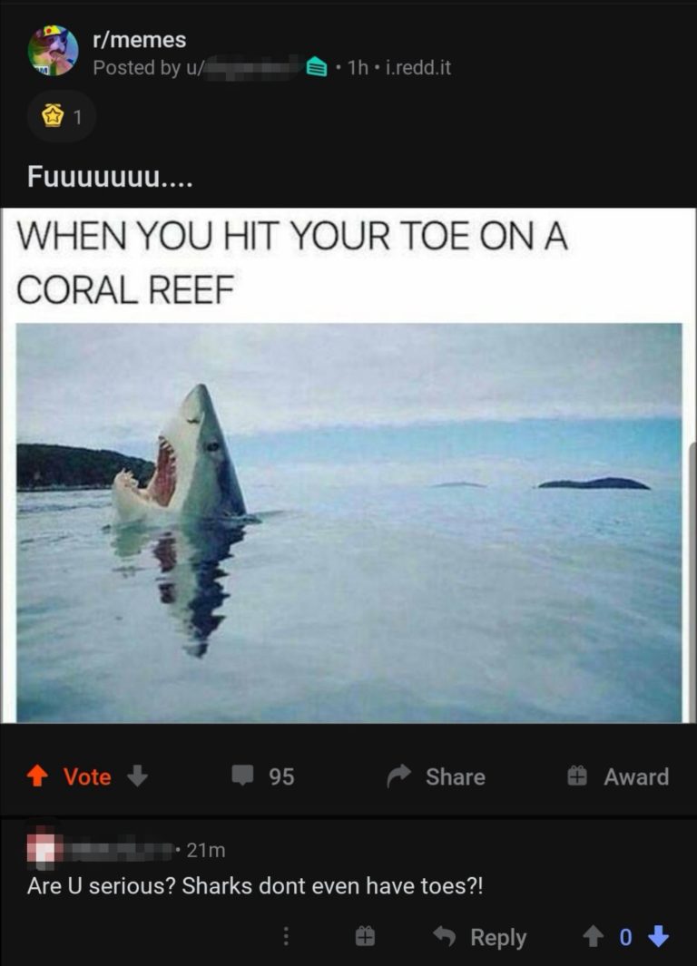 “Whoosh” Is The Sound Of The Joke Going Over Your Head (39 Pics)