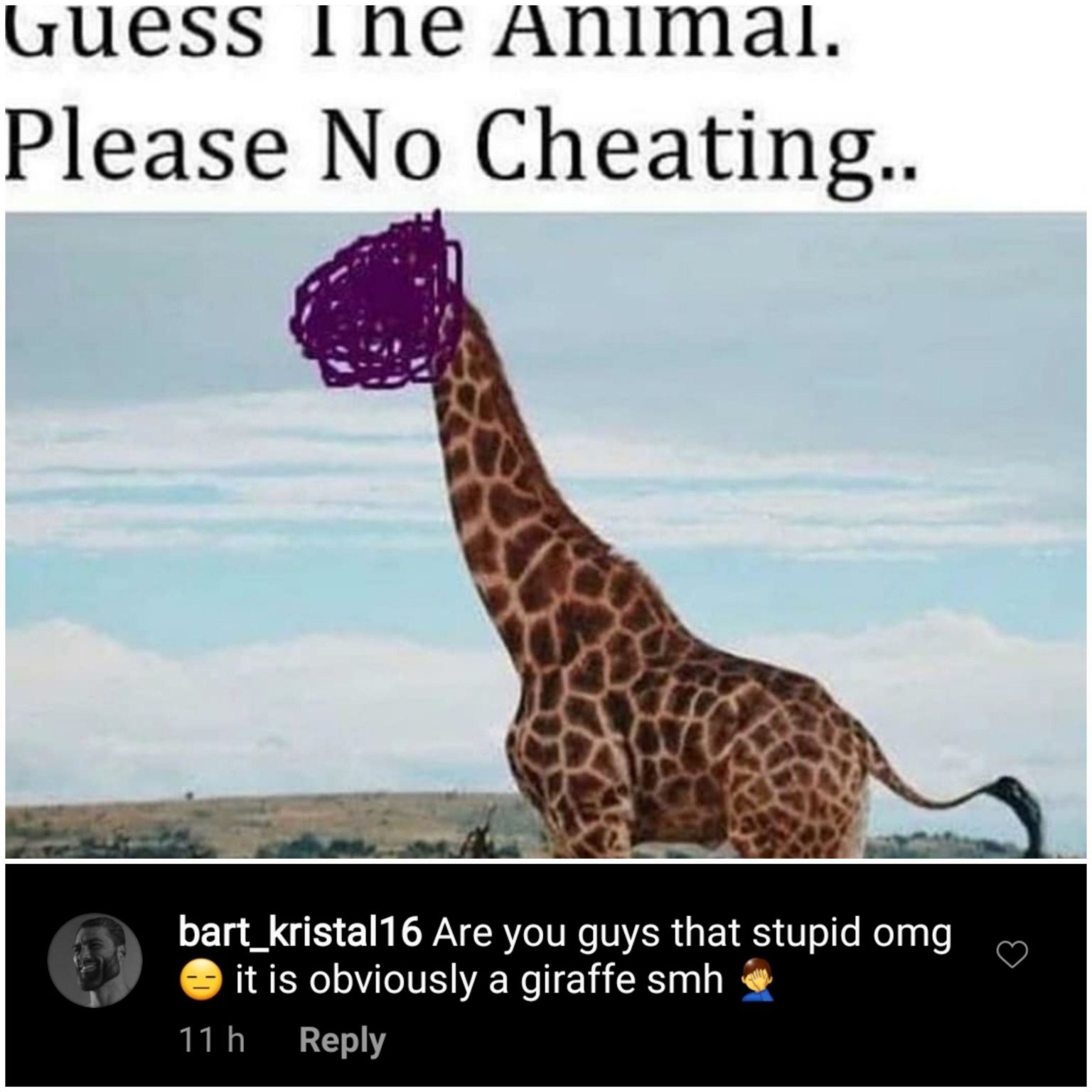 “Whoosh” Is The Sound Of The Joke Going Over Your Head (39 Pics)