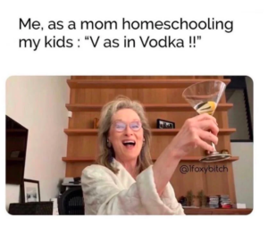 21 Funny Memes For Parents Struggling Through Distance Learning