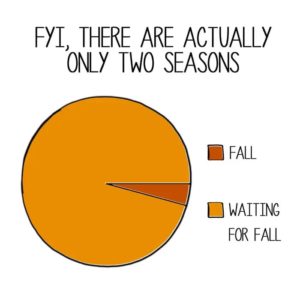 I Don't Know About Y'all, But I'm Ready For Fall — 50+ Funny Autumn Memes