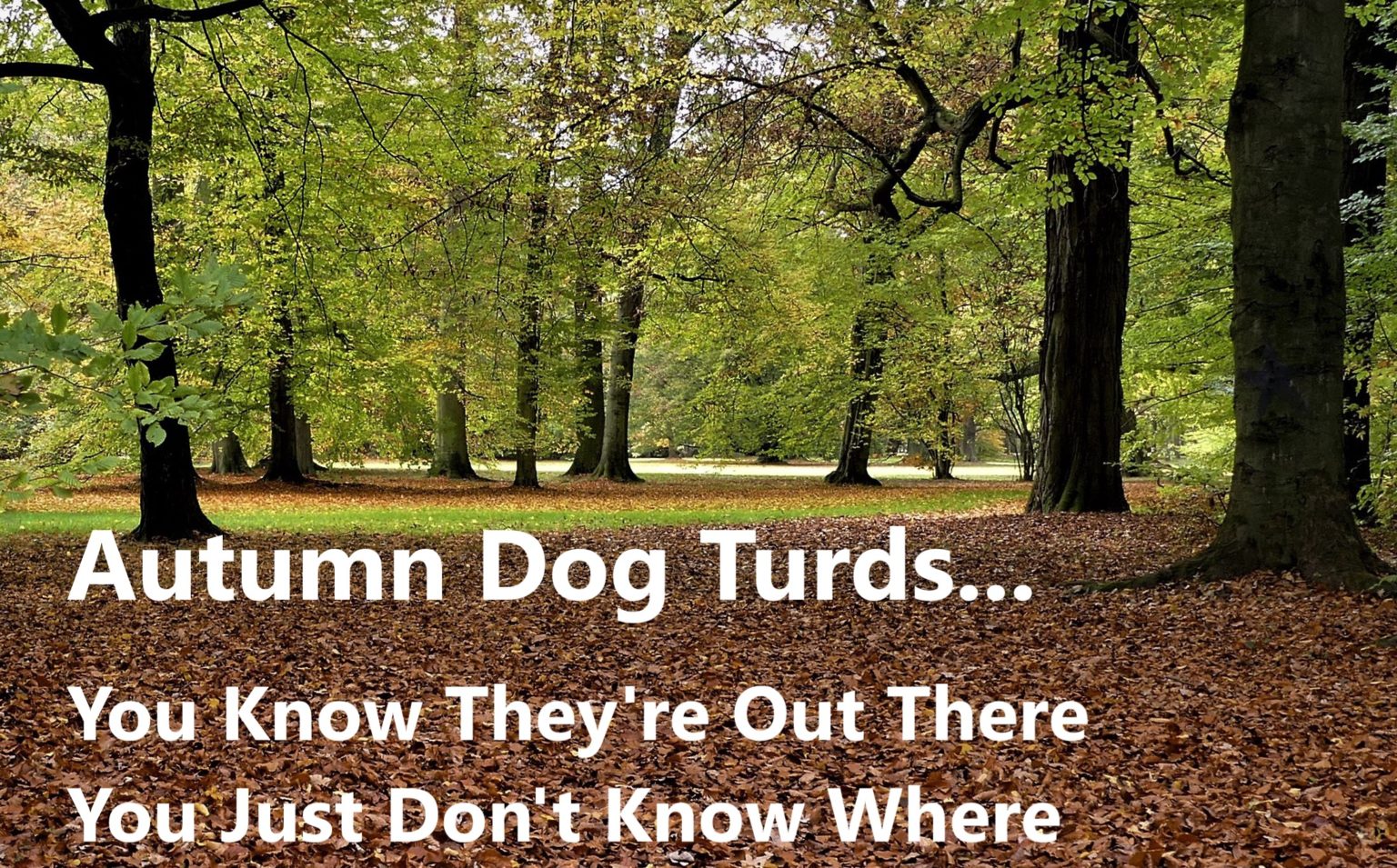 I Don't Know About Y'all, But I'm Ready For Fall — 50+ Funny Autumn Memes