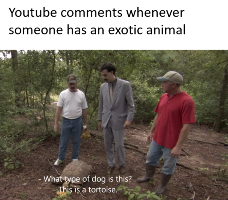 25 Funny Borat Memes That Are Also *Borat Voice* Very Niiiice