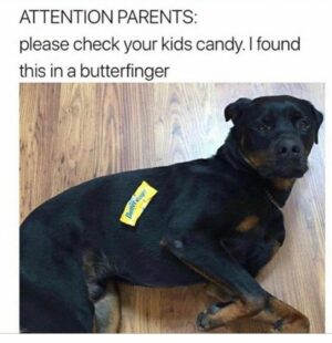 Parents, Please Check Your Kids' Halloween Candy (17 Memes)