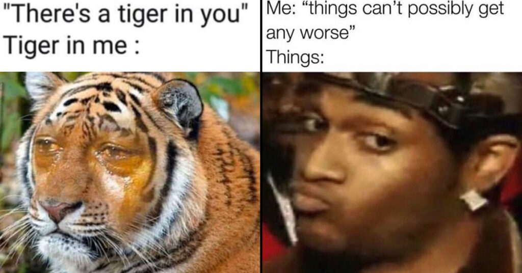 The Funniest But Also Saddest Sad Memes Of 2020