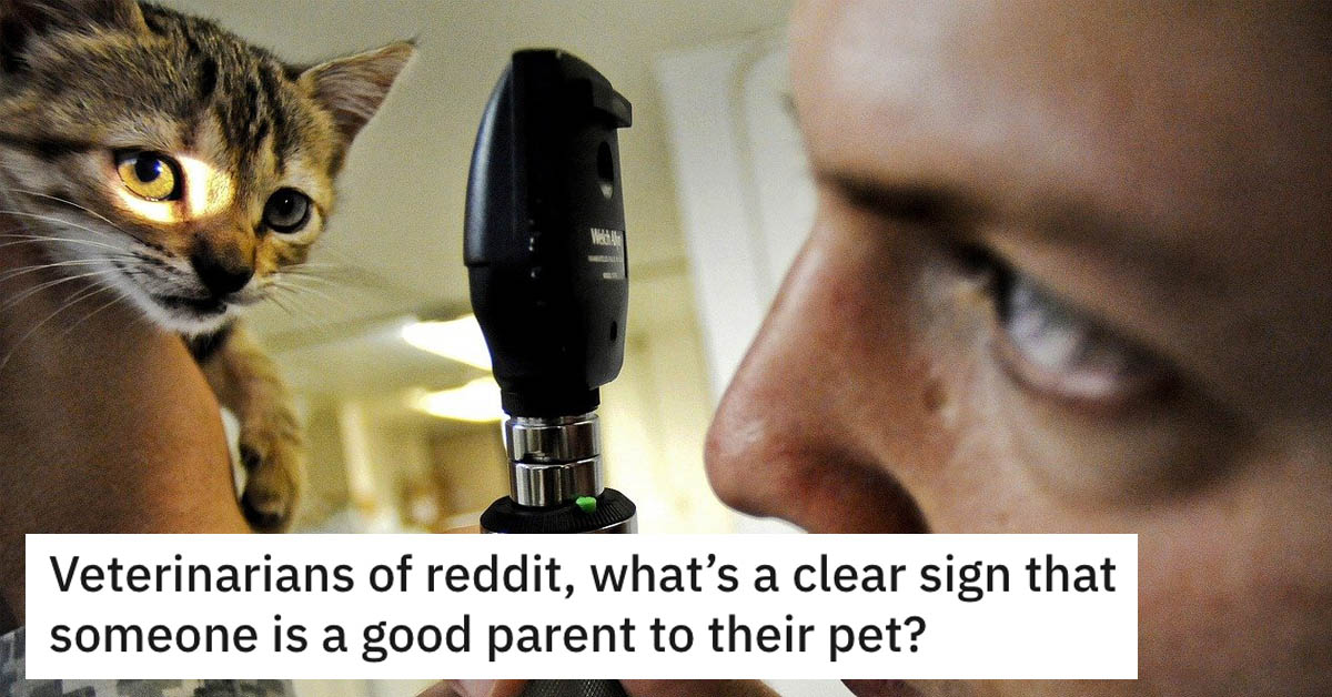 Vets Share Signs Someone's A Good Pet Parent (20 Stories)
