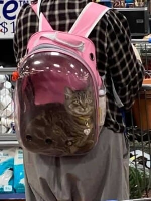50 Of The Best And Funniest People Of Walmart Photos Of All Time (This ...