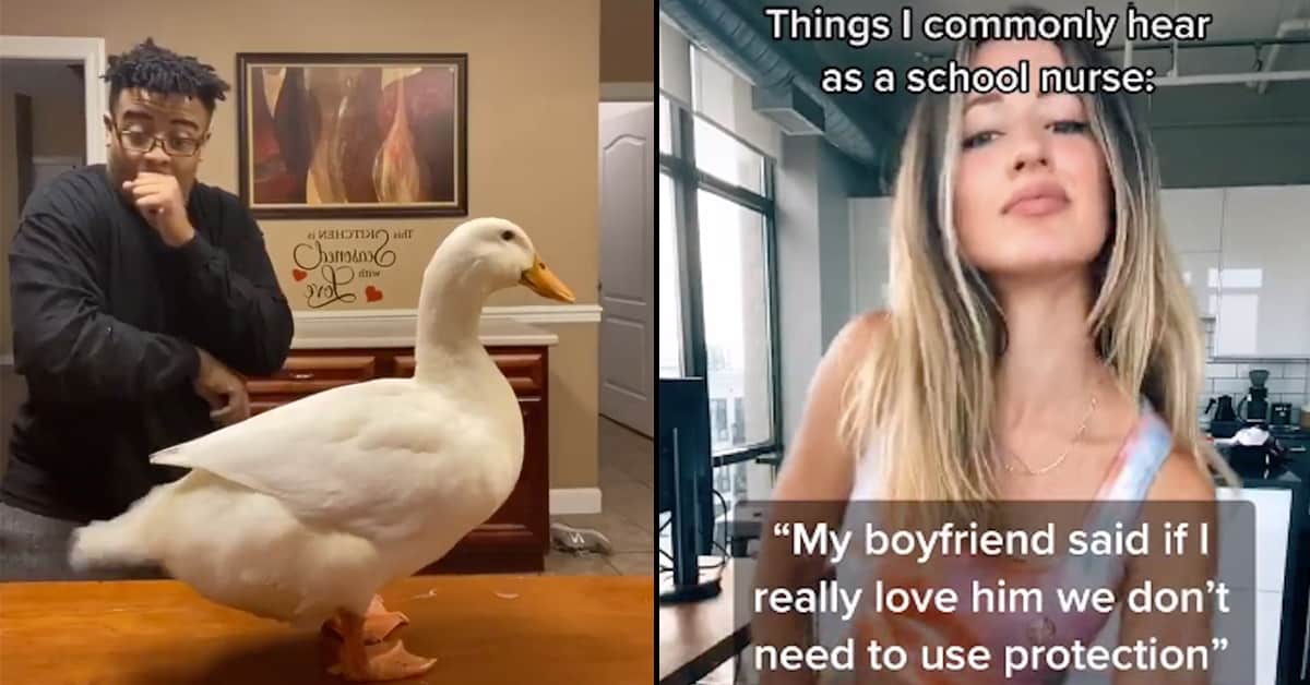 25 Of The Most Viral Tiktoks From 2020
