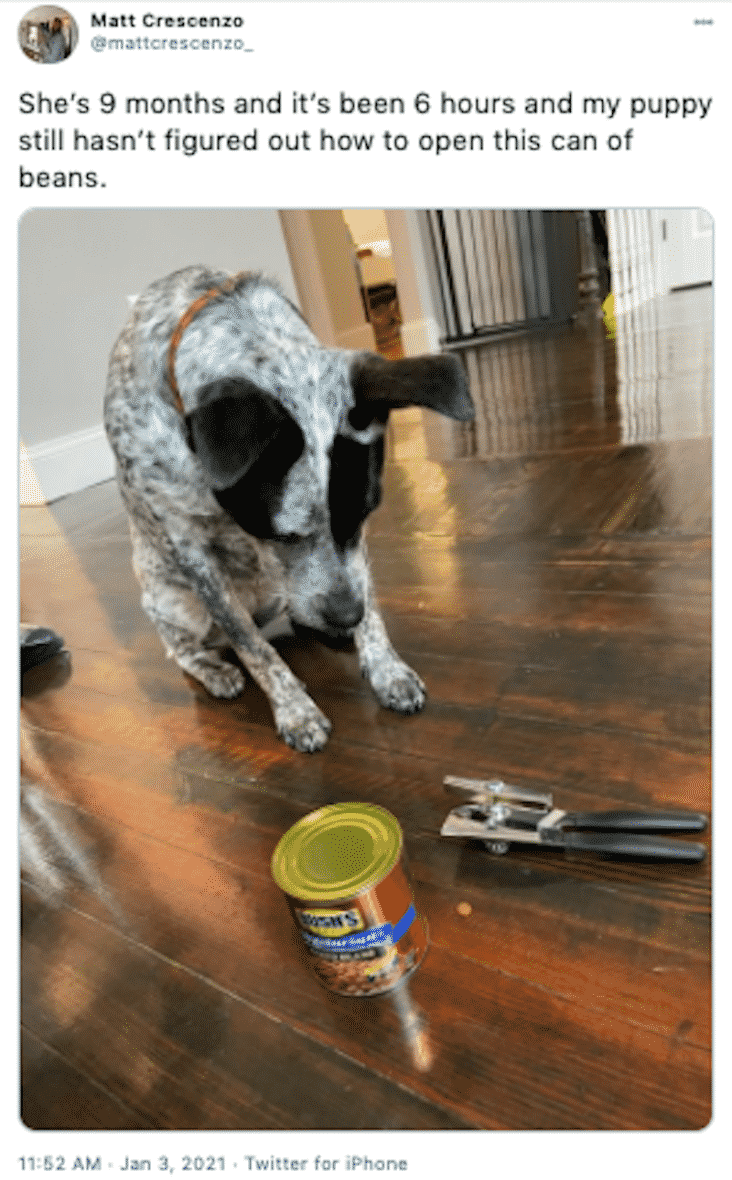 Explaining Bean Dad Via Funny Tweets About 2021's First Main Character