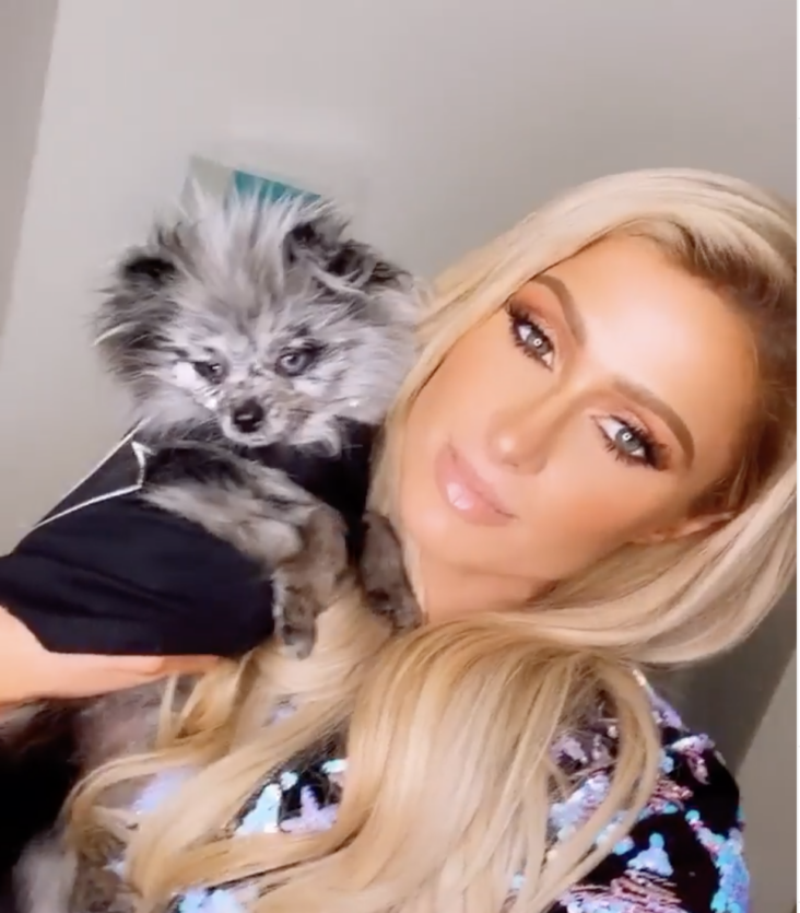 Paris Hilton Talks About Undergoing IVF Treatment, Hopes For Twins