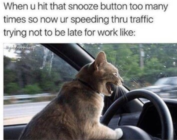 Sorry I'm Late, I Was Busy Laughing At These Jokes About Being Late (32 ...