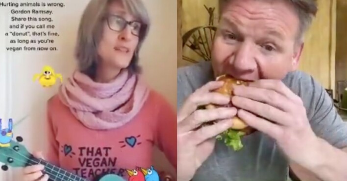 Gordon Ramsay Responds To The Vegan Teacher's Song About Him