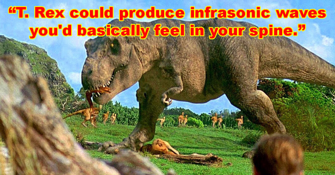 Literally Just 24 Cool Dinosaur Facts, Courtesy Of Reddit