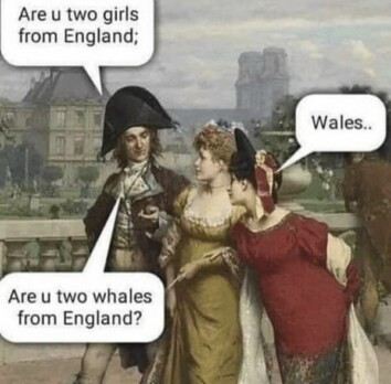 39 Pun Memes For Anyone Who Appreciates Some Good Wordplay