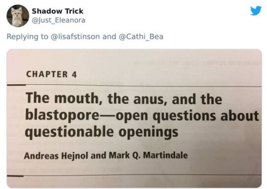 30 Funny Science Paper Titles From Nerds With A Sense Of Humor