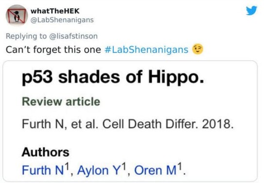 30 Funny Science Paper Titles From Nerds With A Sense Of Humor