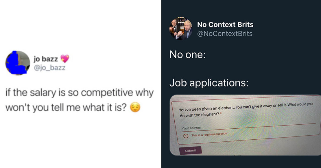 31 Job Application Memes That Take Zero Years Experience To Enjoy