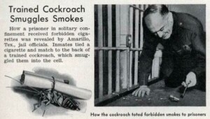 30 Really Cool Things Made By Prisoners While Incarcerated