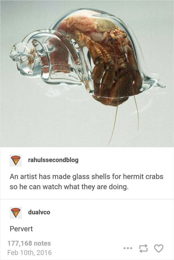 33 Comments So Funny They Earned An Award From The "Comment Awards ...