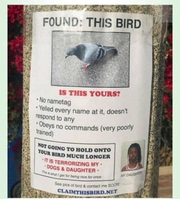 35 Hilarious Signs People Found In The Wild That Made Their Day A ...