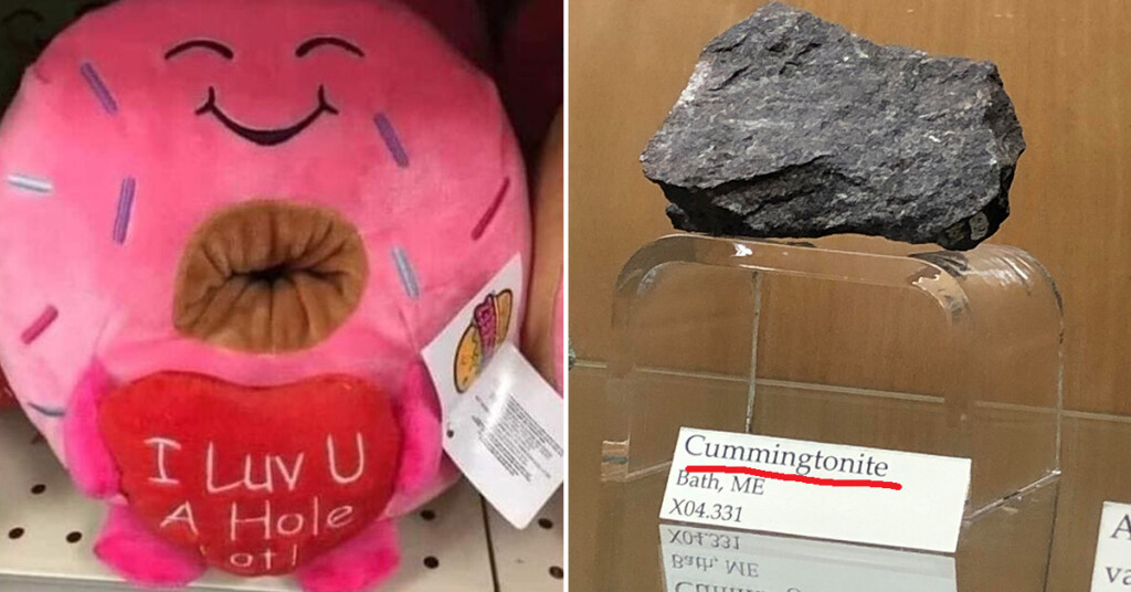33 People Who 100% Knew They Were Being Inappropriate, So Stop Trying ...