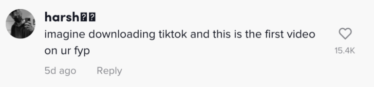 Woman Pretending To Be A Dog Fights With Other 'Dog' In Viral TikTok