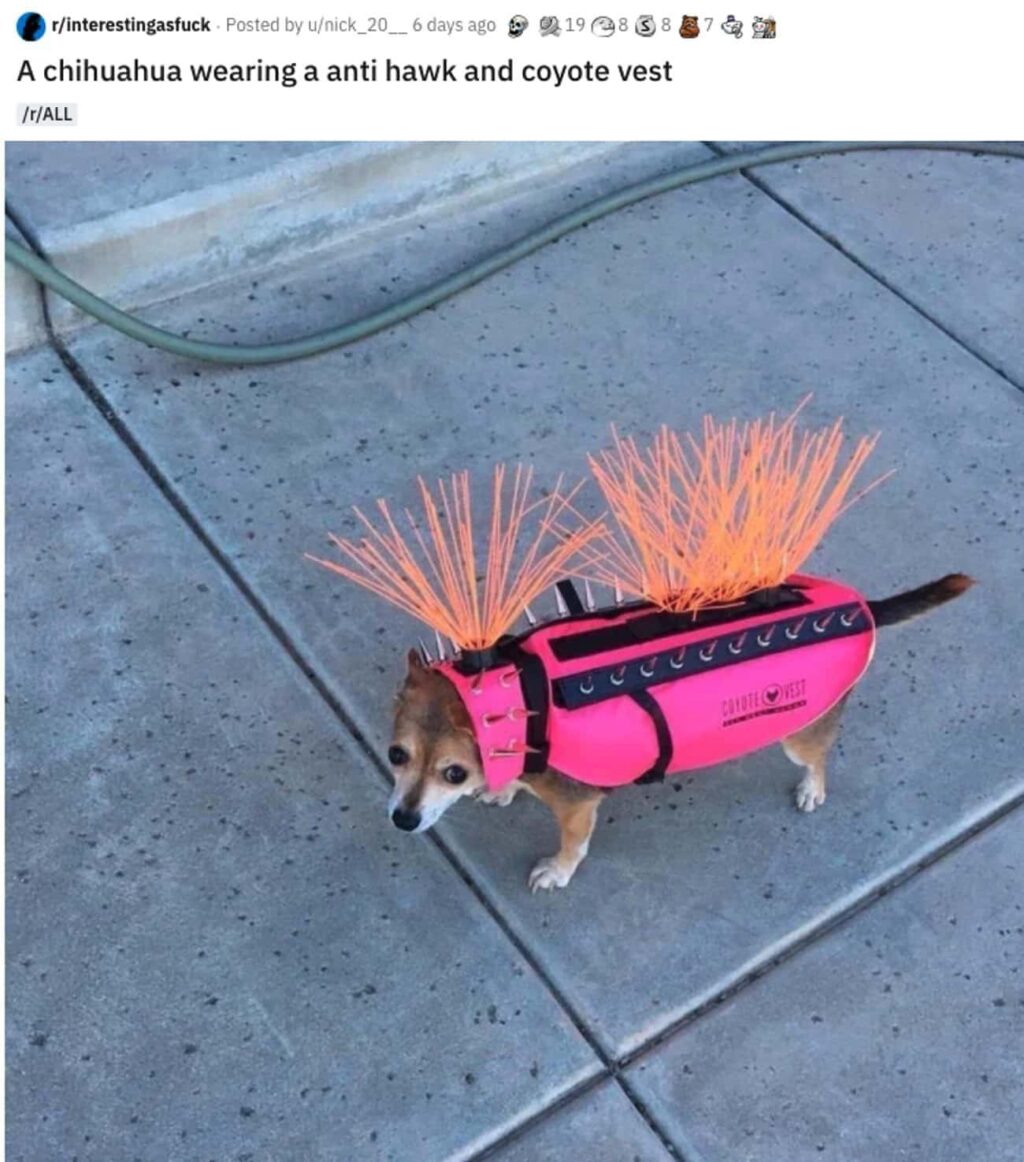 Just 16 Totally Cool Inventions You'll Think Are Pretty Neat