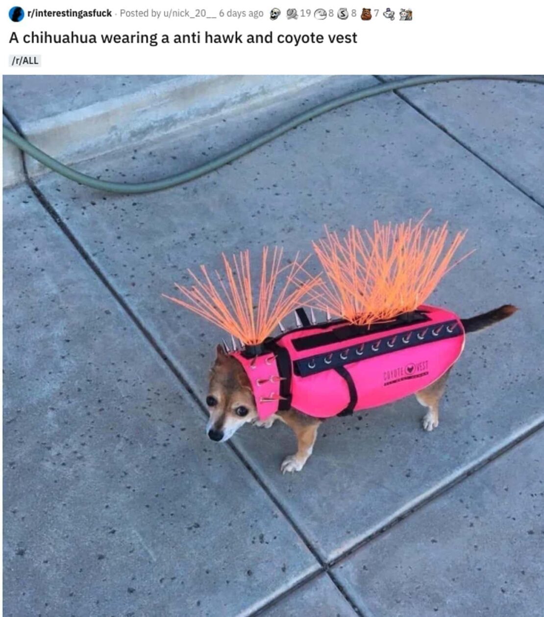 Just 16 Totally Cool Inventions You'll Think Are Pretty Neat