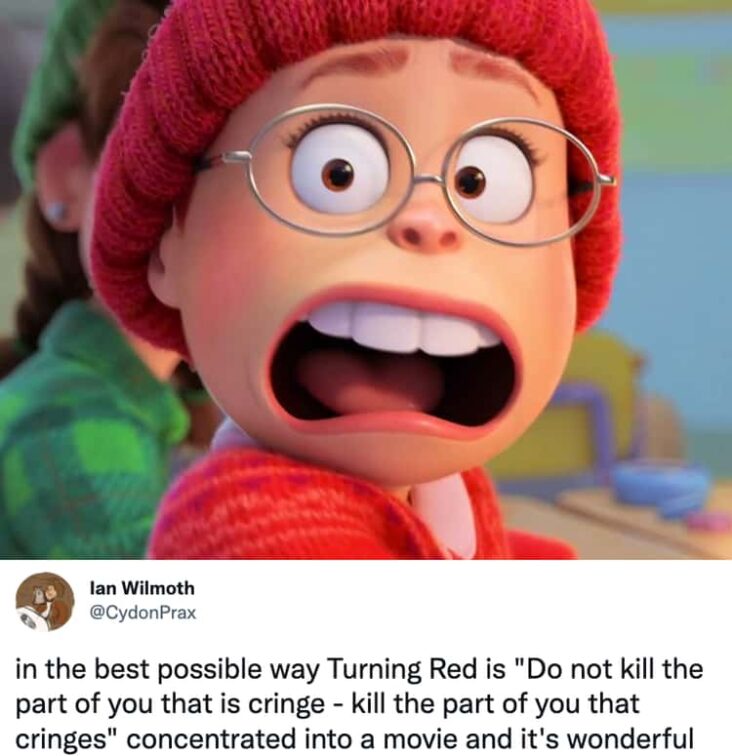 People Are Defending 'Turning Red' From Trolls And Haters (20 Tweets)