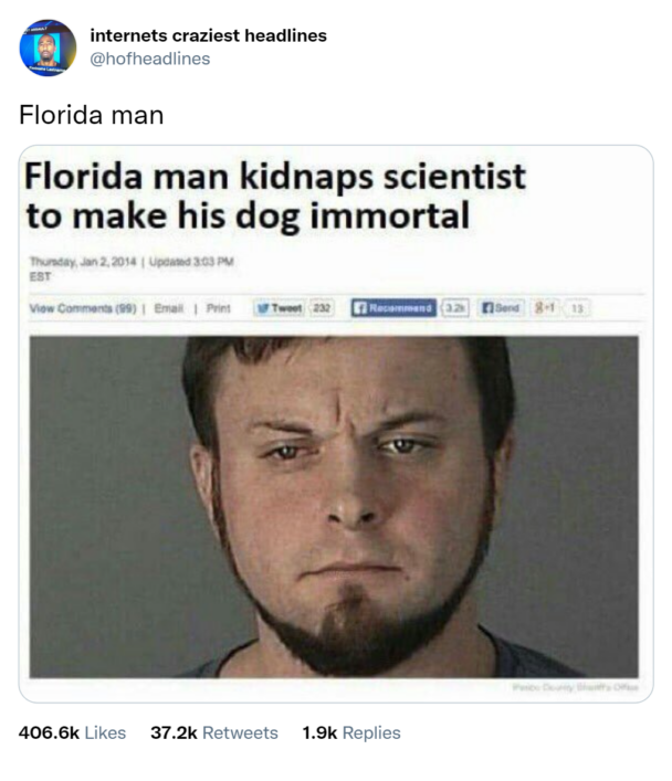 Twitter Account Posts The Funniest Headlines People Have Found Online ...